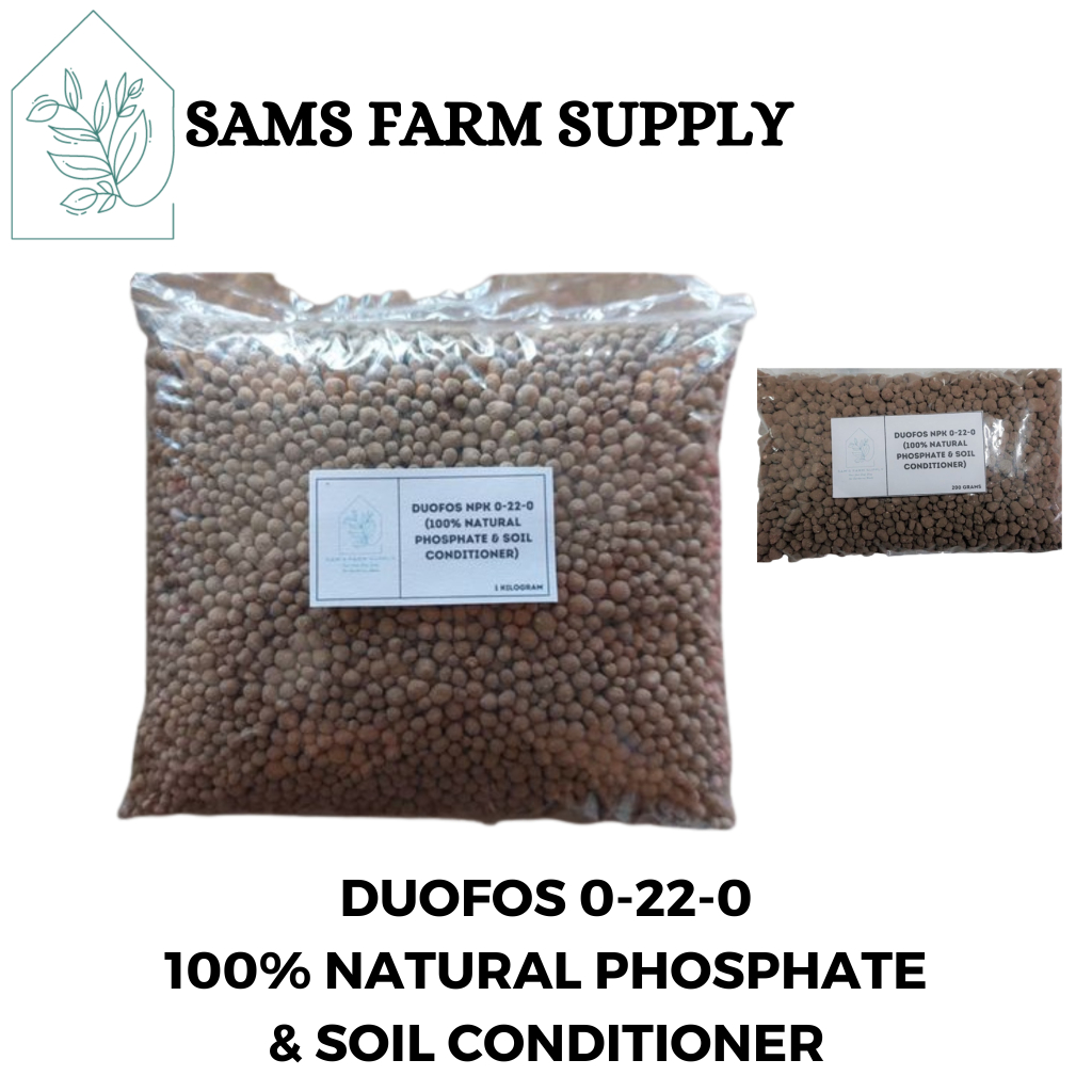 Duofos 0-22-0 (Natural Phosphate & Soil Conditioner) 1 kilogram and 200 ...