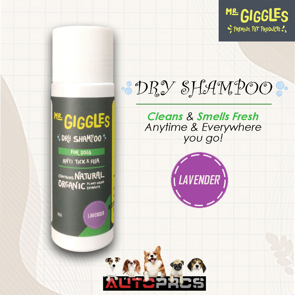 MR. GIGGLES Dry Shampoo 65g | Shopee Philippines