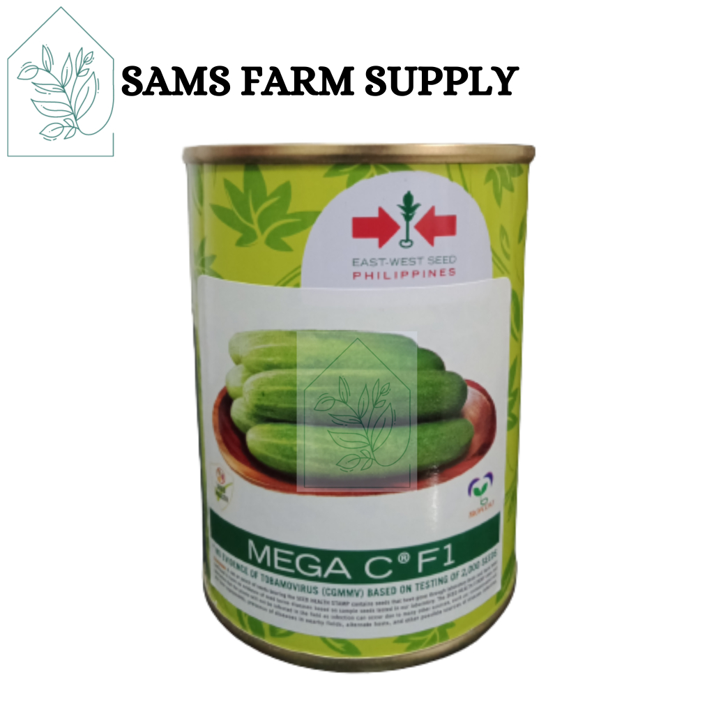 MEGA C CUCUMBER F1 SEEDS 50 GRAMS CAN BY EAST-WEST | Shopee Philippines
