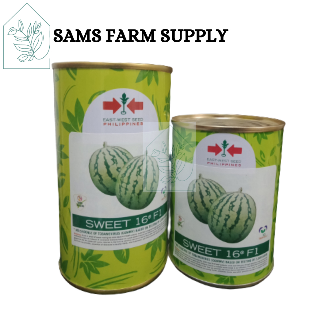 SWEET 16 F1 WATERMELON SEEDS 100 GRAMS AND 50 GRAMS BY EAST-WEST ...