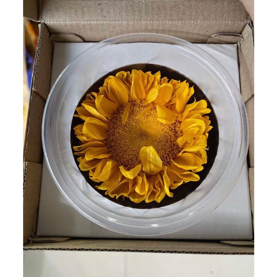 Preserved Sunflowers Head 1pcs per box | Shopee Philippines