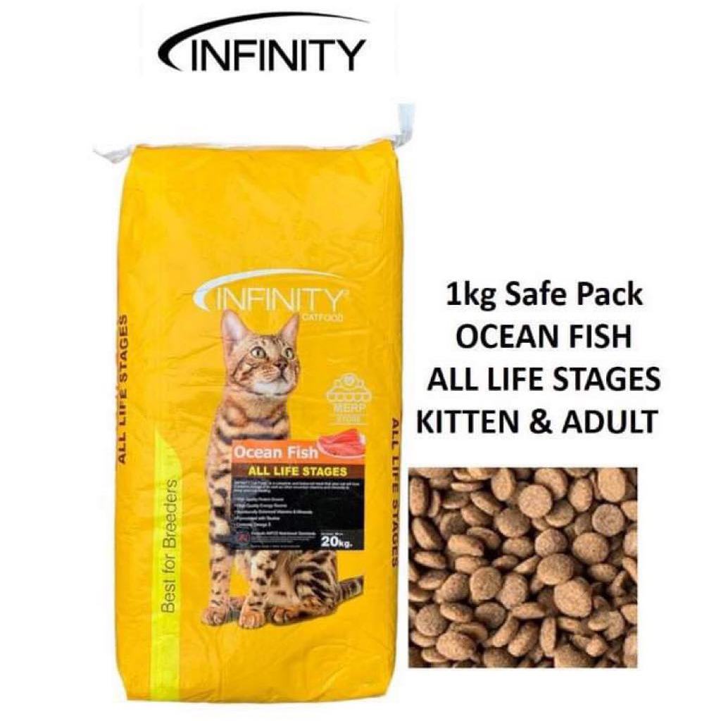 1kg Ocean Fish Salmon Cat Dry Food All Stages All Breed Adult Infinity Cat | Shopee Philippines