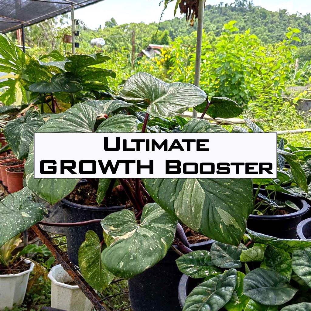New and Improve Ultimate growth Booster, now with Calcium and Magnesium ...