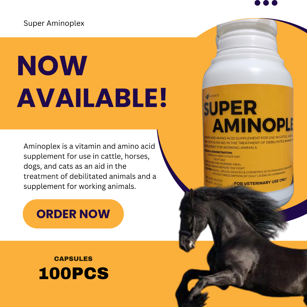 Super Aminoplex Capsule 100Pcs | Shopee Philippines