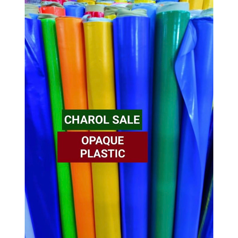 CHAROL COLORED PLASTIC BANDERITAS W-48" x L-36" H-48” | Shopee Philippines
