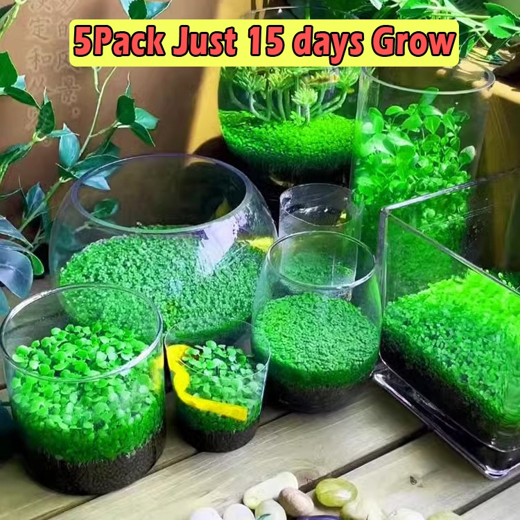 3-5G Aquarium Soil aquarium plant seeds fish tank plant soil Fish tank ...