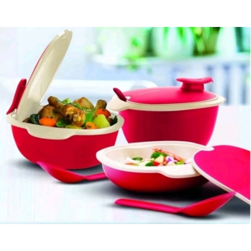 Tupperware Warmie Tupp Server Price Per Piece | Shopee Philippines