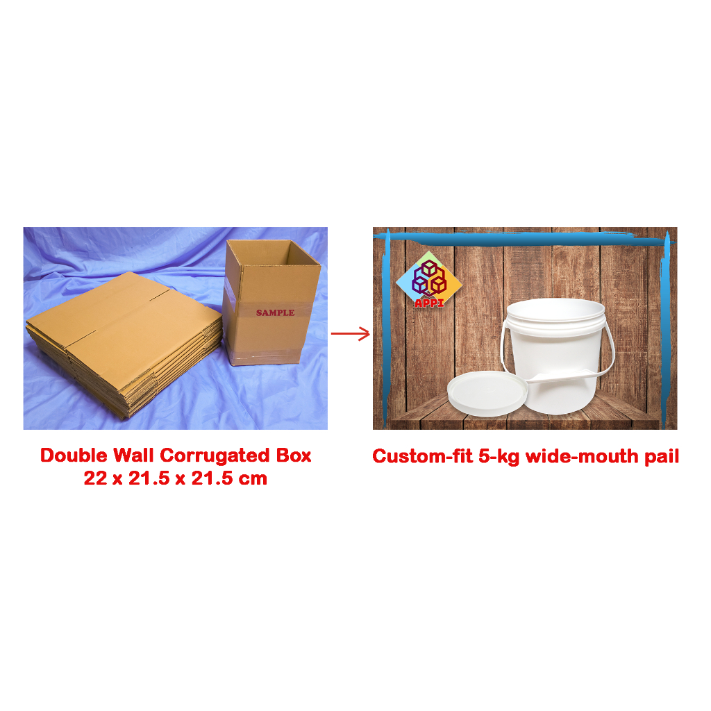 A004 Amistad Brand New Double Wall Corrugated Box 22 x 21.5 x 21.5 cm (10 pcs) | Shopee Philippines