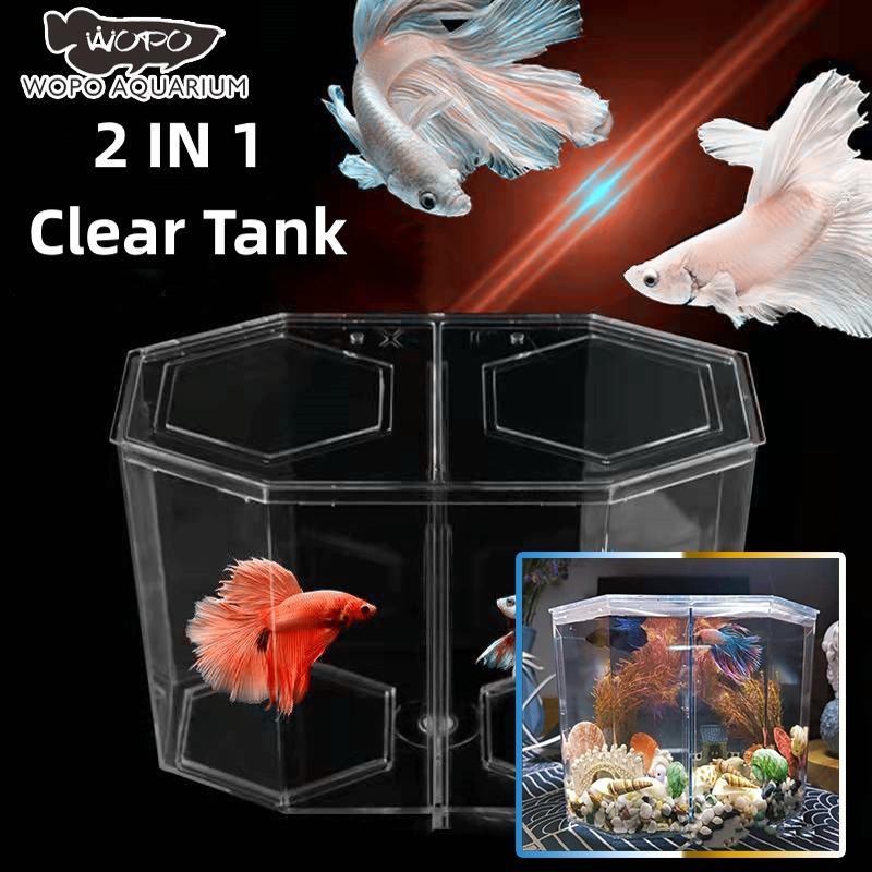 Aquarium Dual Betta Fish tank 2 in 1 Clear Tank With Divider | Shopee ...