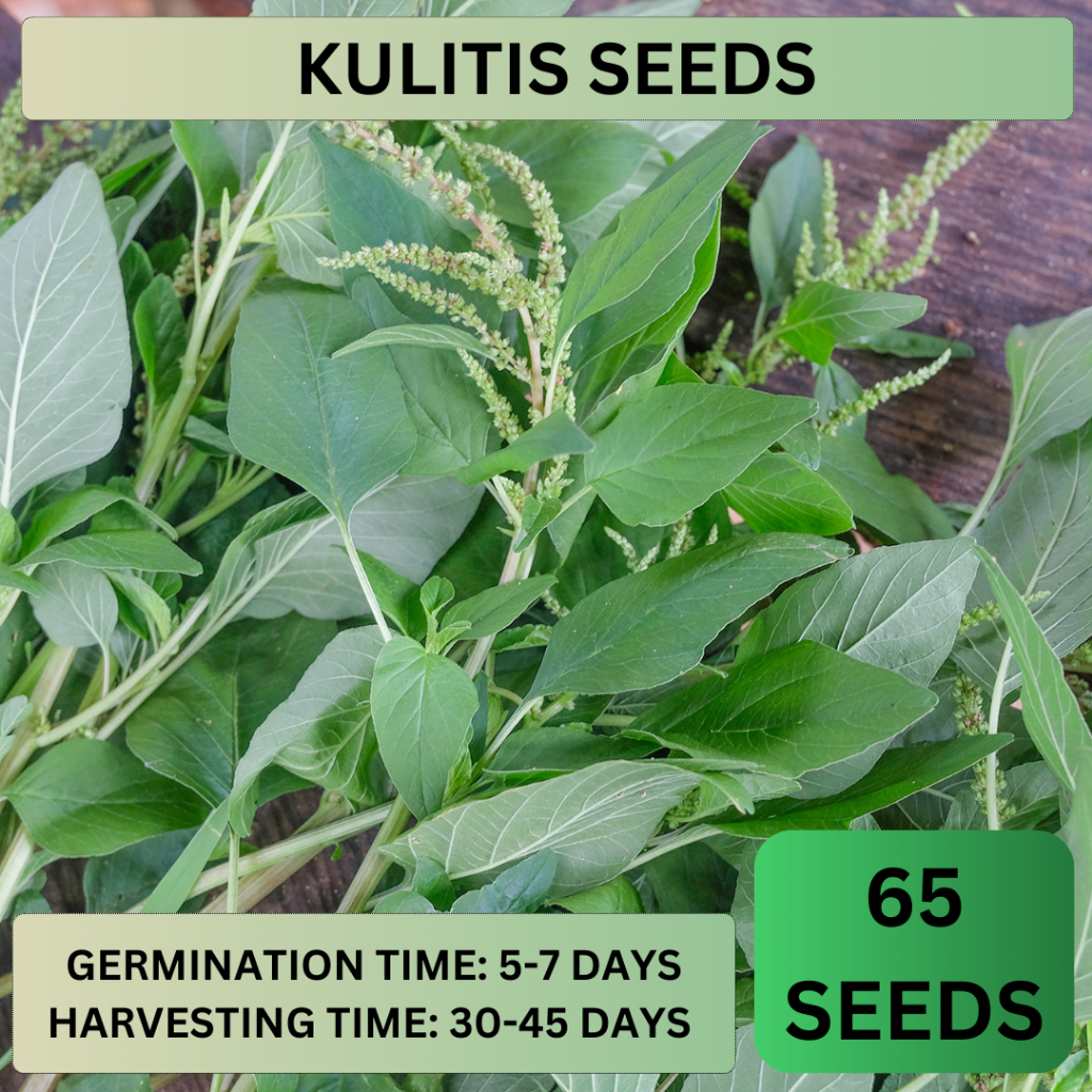 (SET 2) SULIT PACK! VEGETABLE SEEDS! (Pechay Tomato Mustasa Talong ...