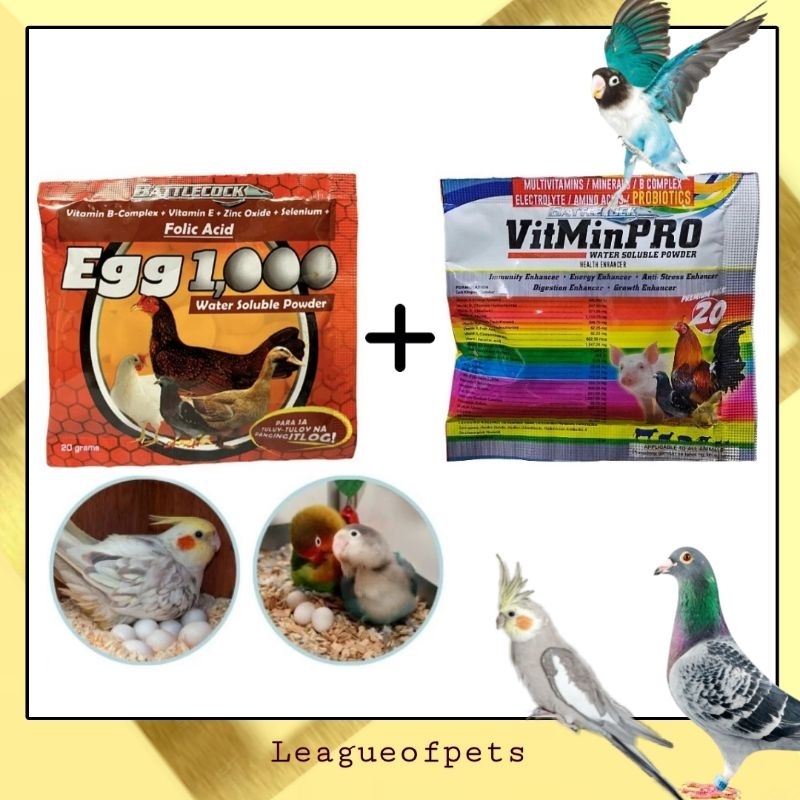 EGG 1000 + VITMIN PRO lovebirds Cockatiel pigeon pet Vitamins | Shopee ...