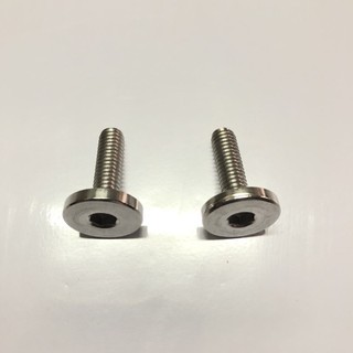 Body Bolt Screw Disc Stainless Tools | Shopee Philippines