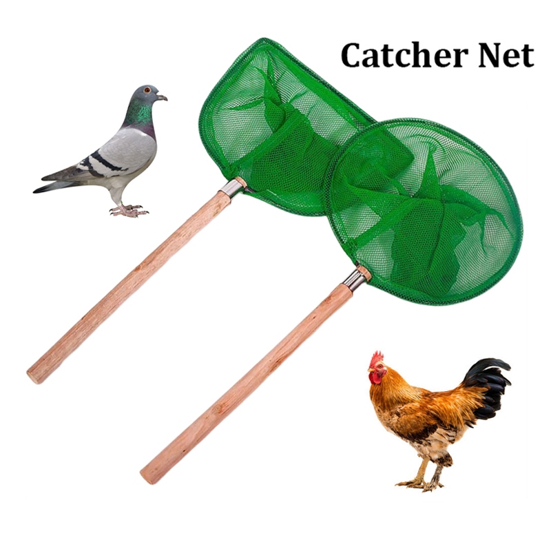 1/2/5Pcs Big Size Bird Catcher Net with Wood Handle for Pigeons Birds ...