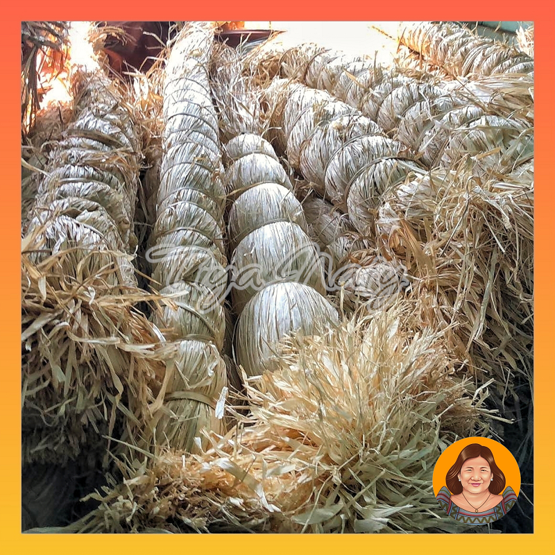 TIYA NATY 1-KILO Natural Raffia Fiber Buri Palm Grass Native Raw ...