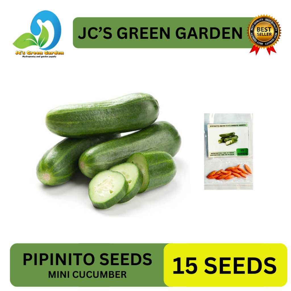 (15 SEEDS) - OPV PIPINITO F1 SEEDS/MINI CUCUMBER/EASY TO GROW/HIGH ...