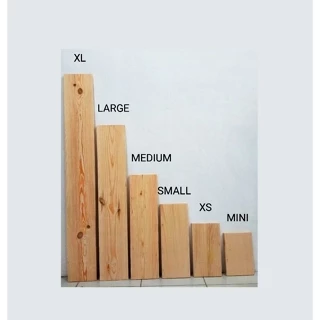 palochina - Best Prices and Online Promos - Jul 2024 | Shopee Philippines