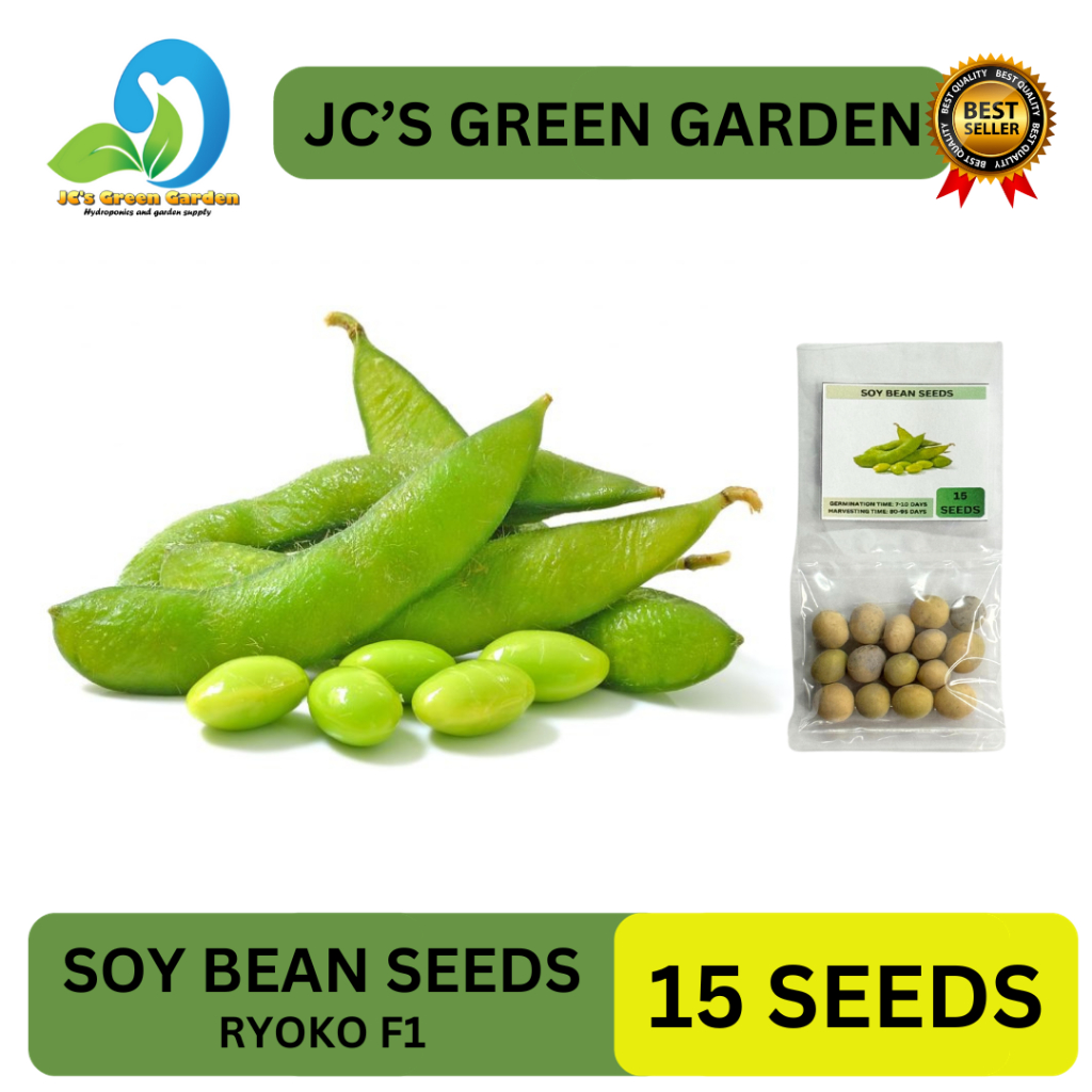 (15 SEEDS) SOYBEAN SEEDS/RYOKO F1 VARIETY/SOYA BEANS/FOR PLANTING/HIGH ...