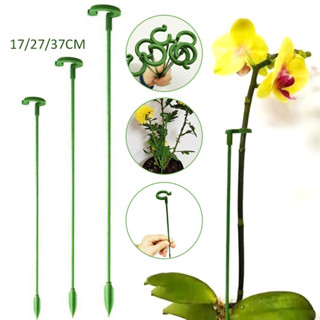Flower Supports Plant Bracket Succulent Rod Fixed Anti-lodging Leaf ...