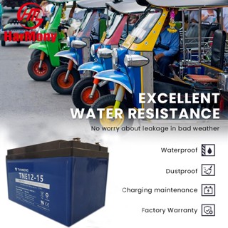 Ebike battery 12V15AH 12V25AH 12V38AH DEEP CYCLE AGM GEL TYPE big ...