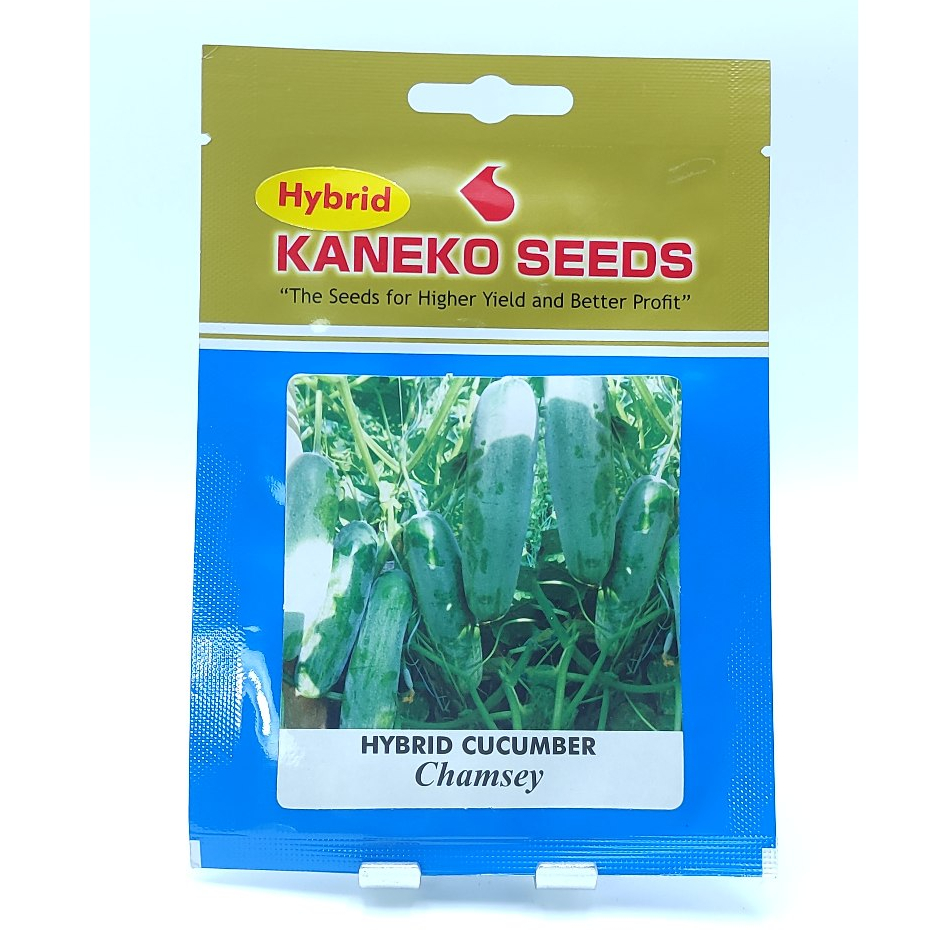 KANEKO SEEDS CHAMSEY HYBRID CUCUMBER SEEDS (1 GRAM) | Shopee Philippines