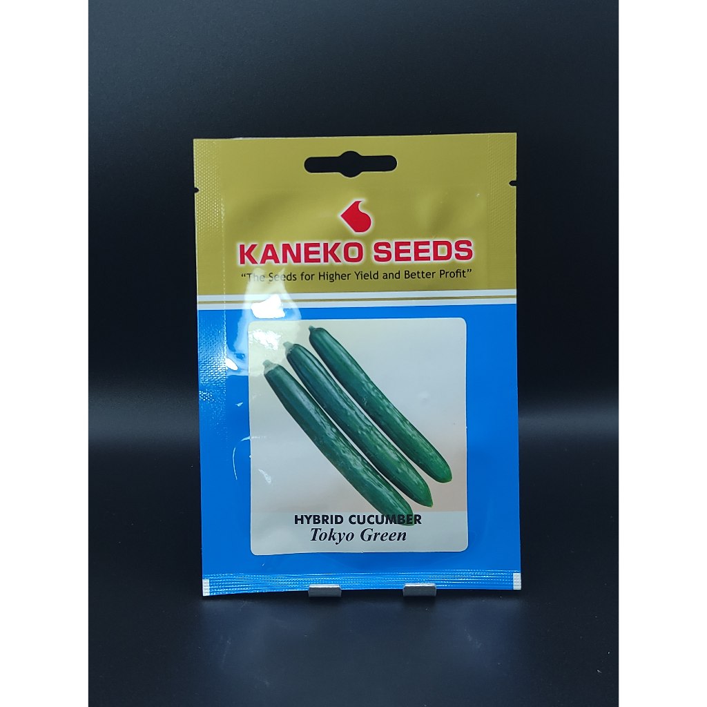 KANEKO SEEDS TOKYO GREEN F1 JAPANESE CUCUMBER SEEDS (1 GRAM) | Shopee ...