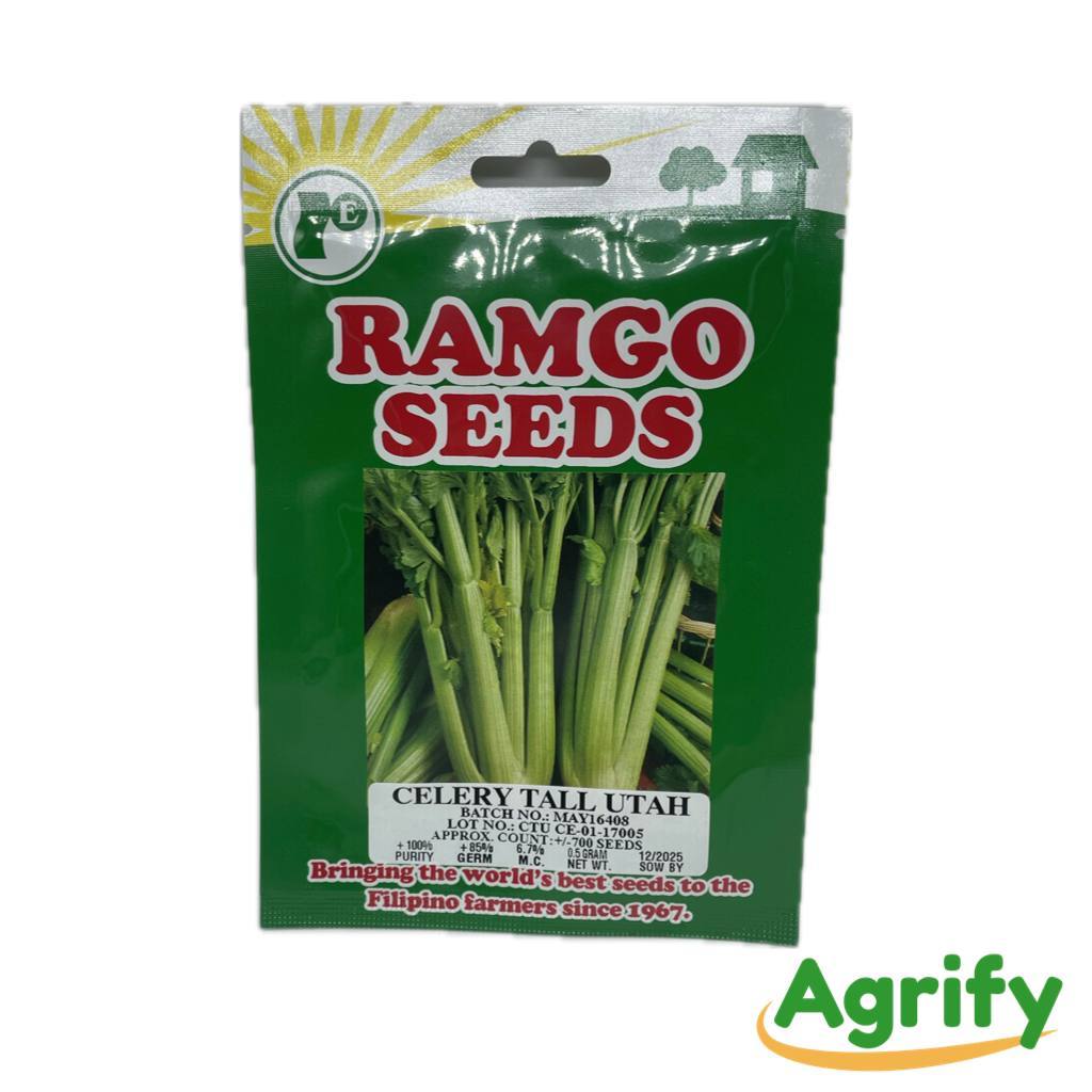 Celery Tall Utah Seeds by Ramgo Original Packaging | Shopee Philippines