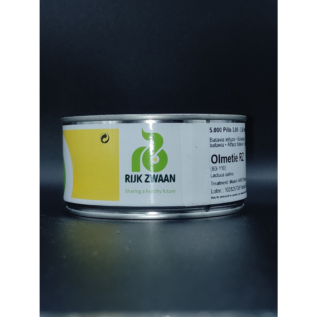 RIJK ZWAAN OLMETIE RZ BATAVIA LETTUCE SEEDS (5000 PILLS) | Shopee ...