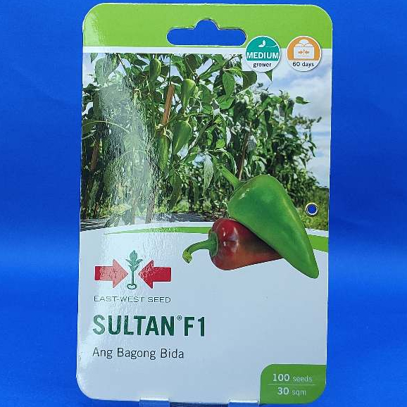 EAST-WEST SEED SULTAN F1 HYBRID SWEET PEPPER / BELL PEPPER / ATSAL ...