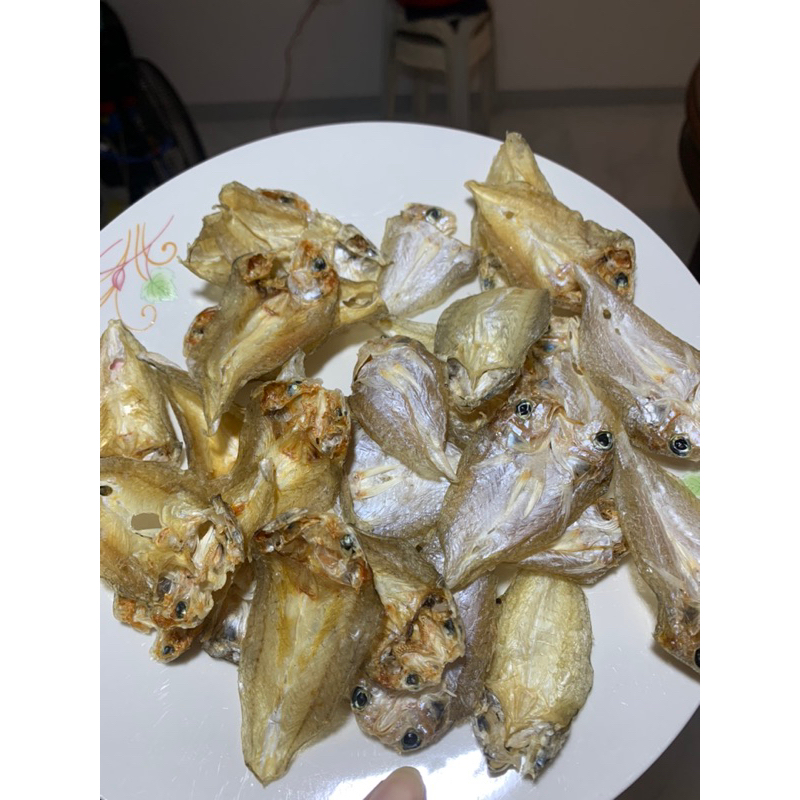 Pagotpot Dangit dried fish from Bicol (unsalted) | Shopee Philippines