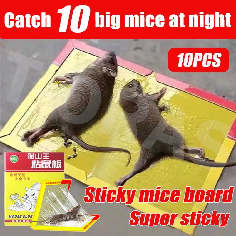(Super Strong Adhesion) Mouse & Rat Trap Glue Board Sticky mouse board ...