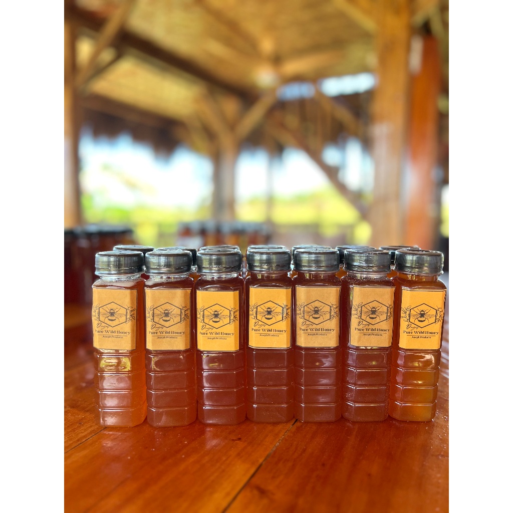 Pure Wild Honey - Dugos (100% Authentic) 200 ML | Shopee Philippines
