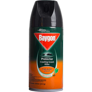 Shop baygon spray for Sale on Shopee Philippines