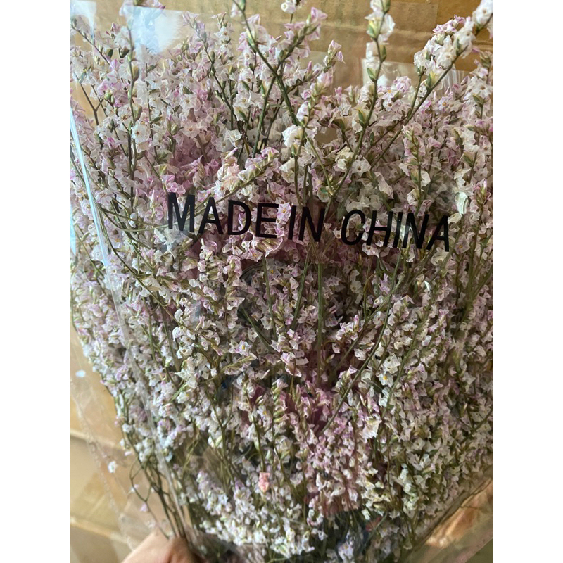 Caspia Misty White Dried flower per Bundle | Shopee Philippines