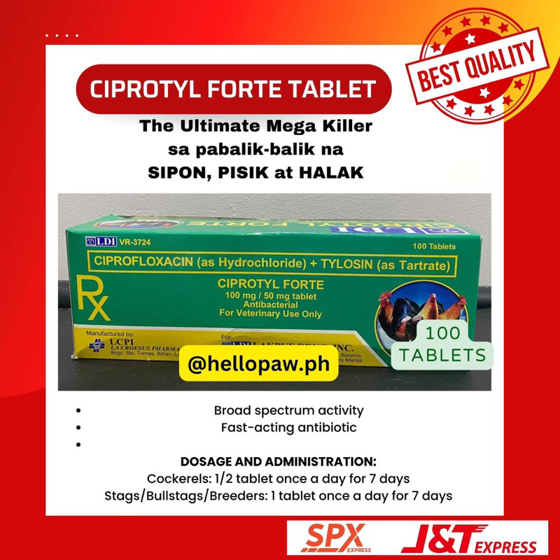 Ciprotyl Forte 100 Tablets (ACTUAL PHOTO) | Shopee Philippines