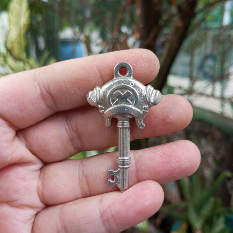 ONE PIECE Tony Tony CHOPPER Metal Key Keychain | Shopee Philippines