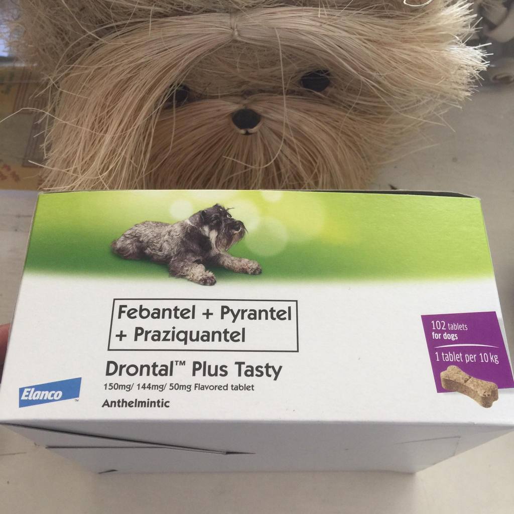 Drontal Plus Tasty for Dogs Tasty Dewormer 1 Tablet | Shopee Philippines