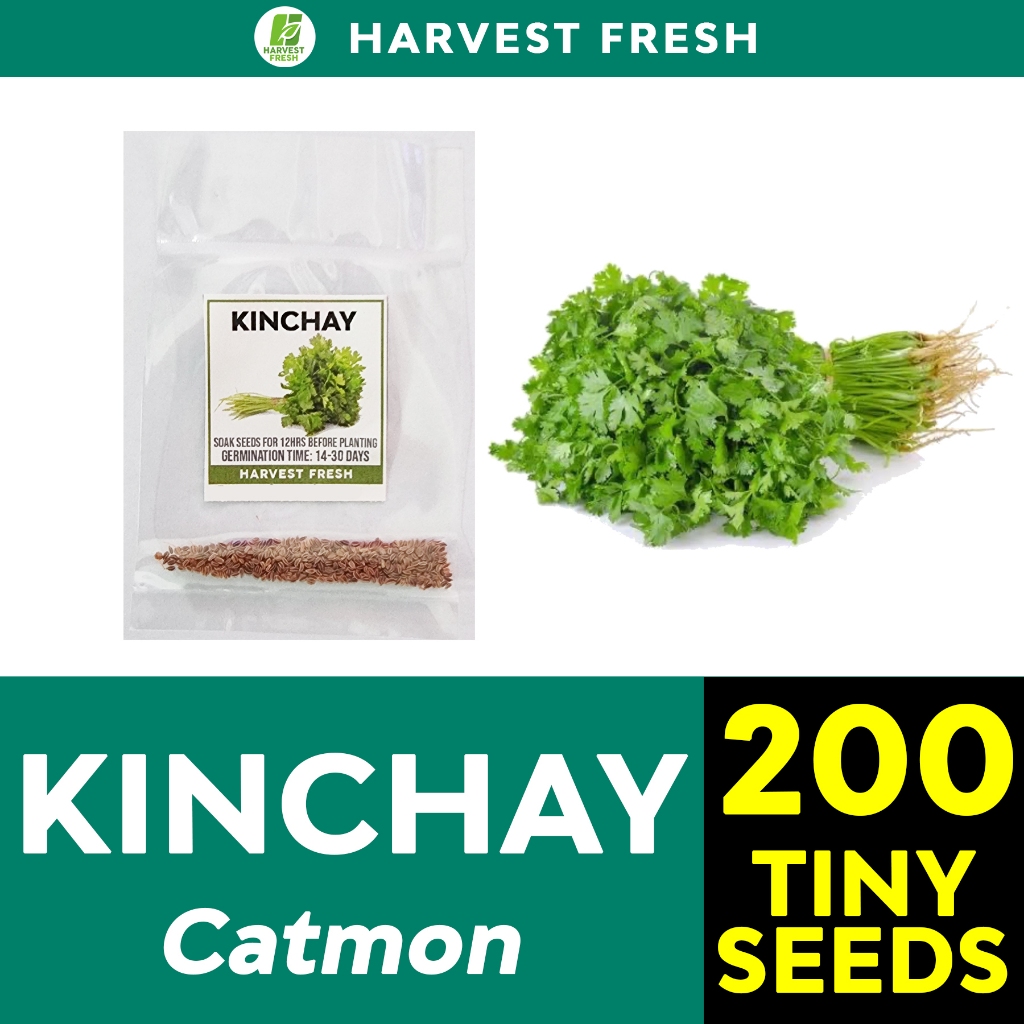 Herbs & Vegetable Seeds Basil Sage Rosemary Thyme Oregano Arugula ...