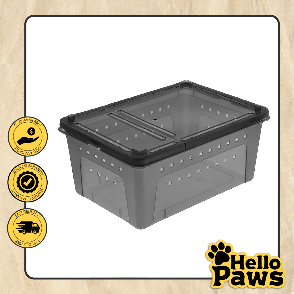 Hello Paws Basic Durable Reptile, Spider, Tarantula Terrarium and Cage ...
