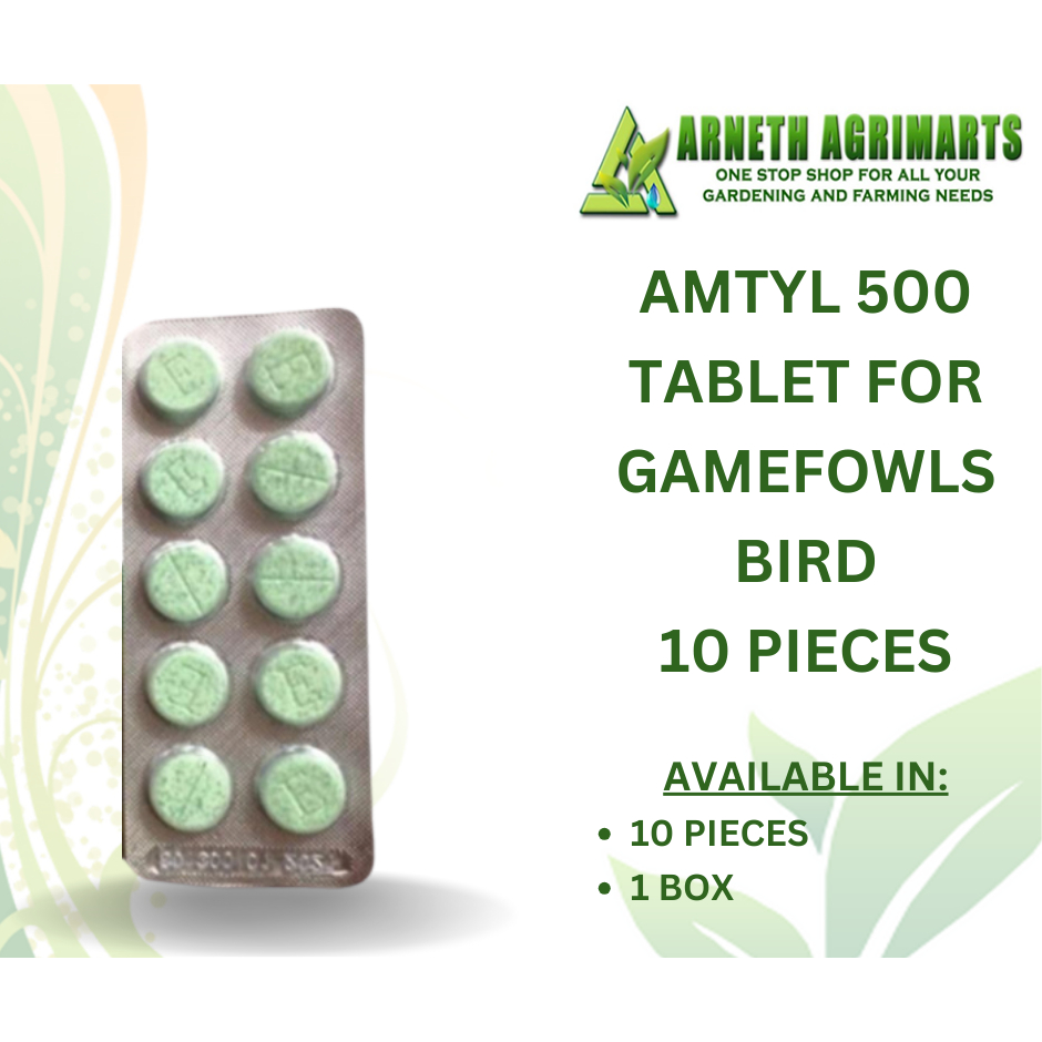 AMTYL 500 TABLET (10 TABLETS) | Shopee Philippines