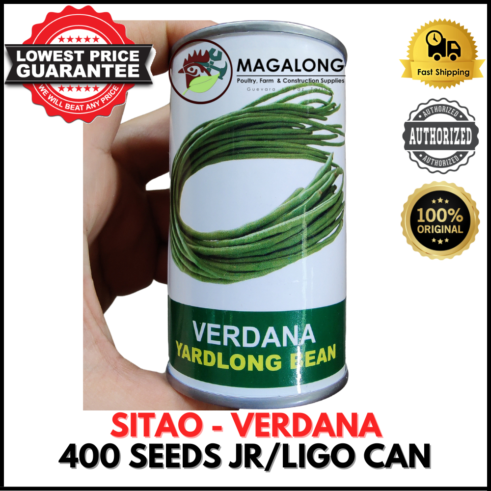 CONDOR SEEDS - SITAO SEEDS - VERDANA YARDLONG BEAN 400 Seeds - JR CAN ...