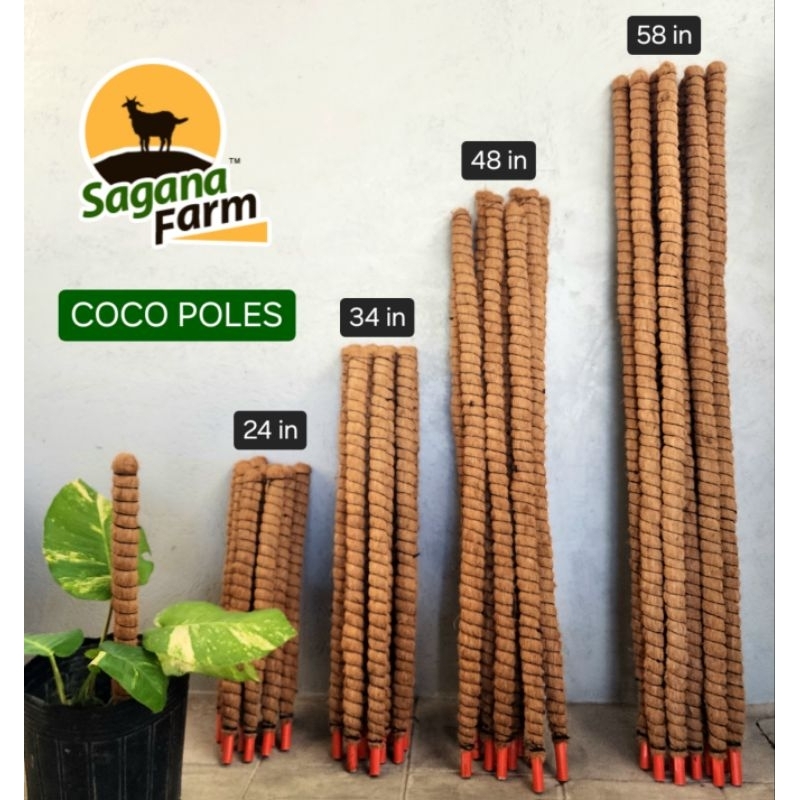 Coco Poles PVC Plant Stick Support for Crawler Plant Trellis | Shopee ...
