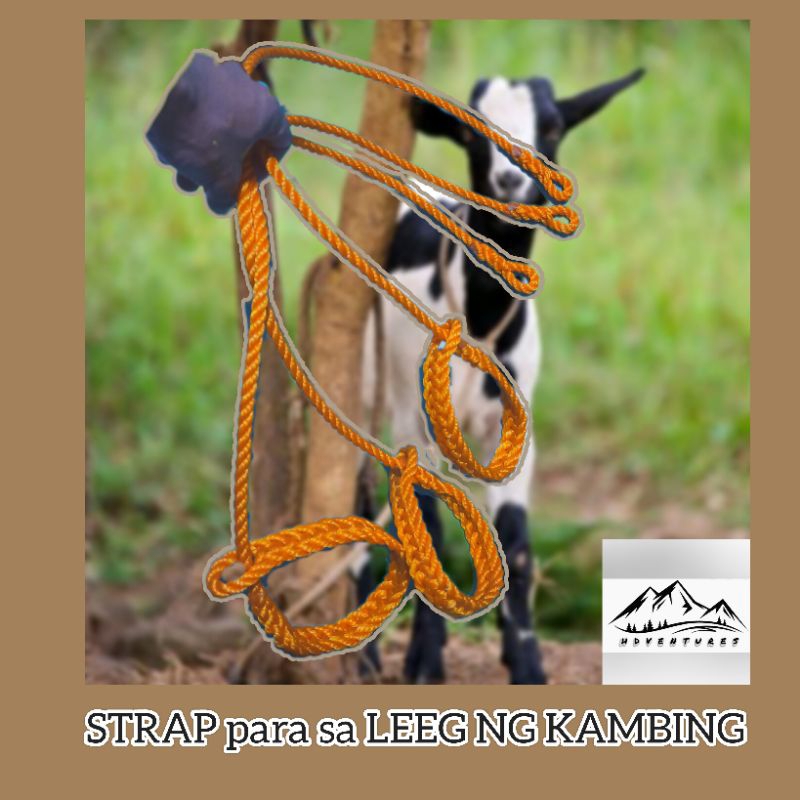 STRAP para sa LEEG NG KAMBING || GOAT NECK STRAP | Shopee Philippines