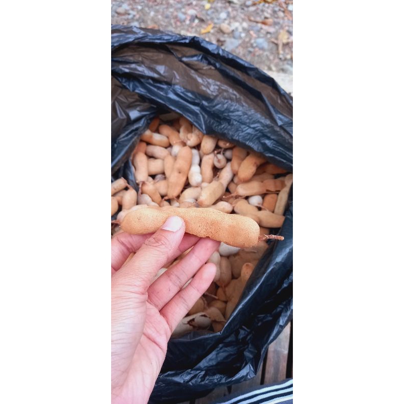 1 kilo maasim na sampalok na di nabalatan ( product of local farmers in ...