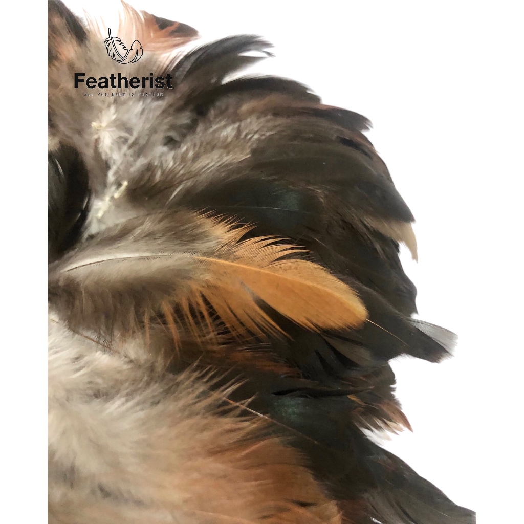 1 Yard DIY Feathers | Bilog | Arts and Crafts | Authentic Chicken ...