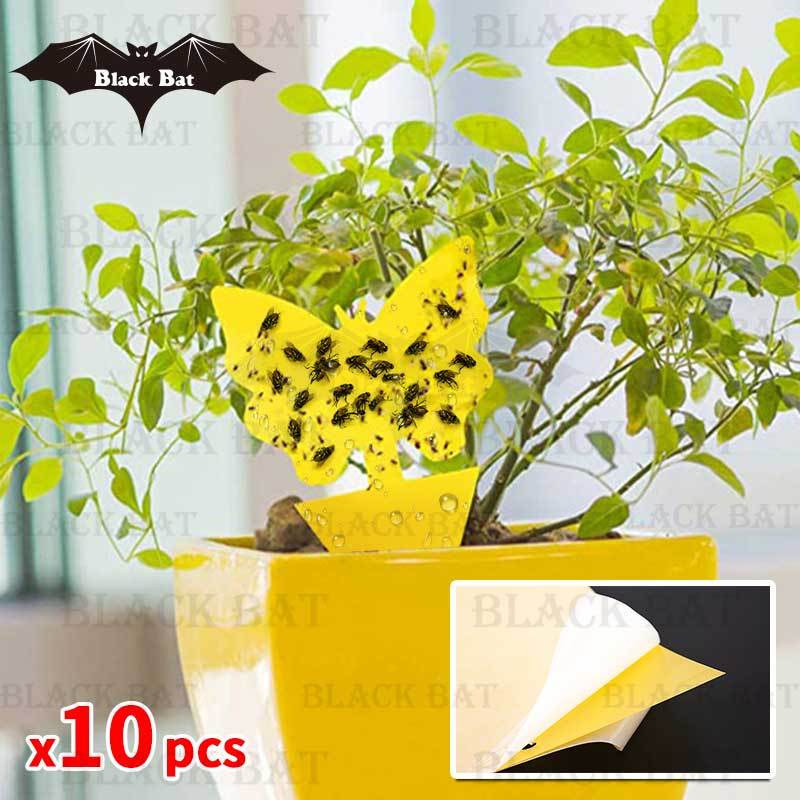 KJ fly trap killer strong Double-Sided fruit fly trap catcher | Shopee ...