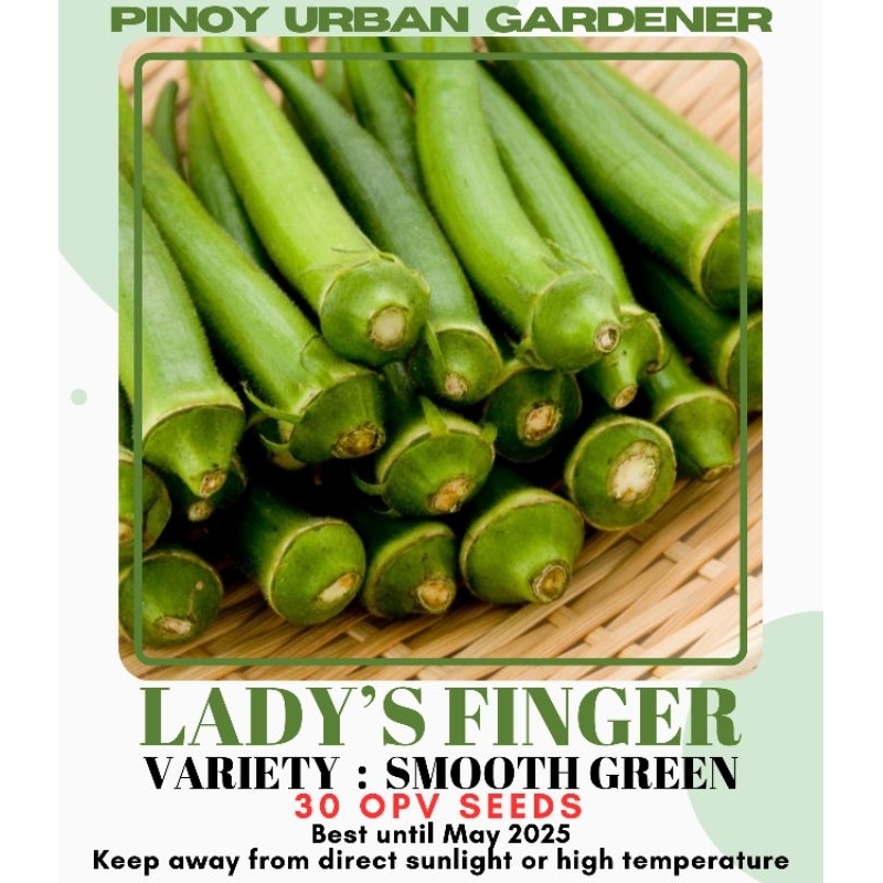 Vegetable Seeds Pechay Kamatis Sili Talong Ampalaya kangkong Okra Sitaw ...