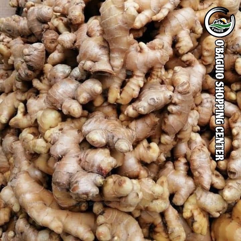 Fresh Luya - Benguet Native Ginger | Per Kilo | Baguio Products (COD) | Shopee Philippines