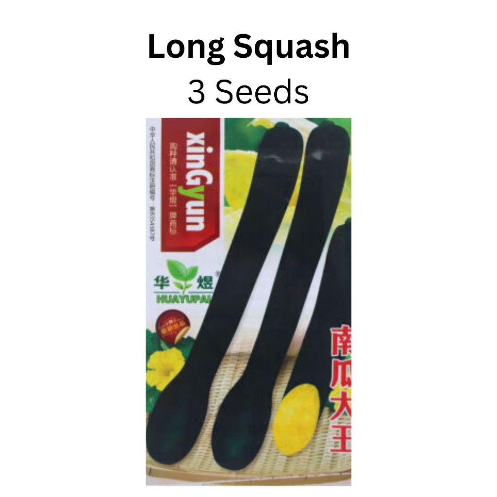 Long Squash 3 Seeds per pack | Shopee Philippines