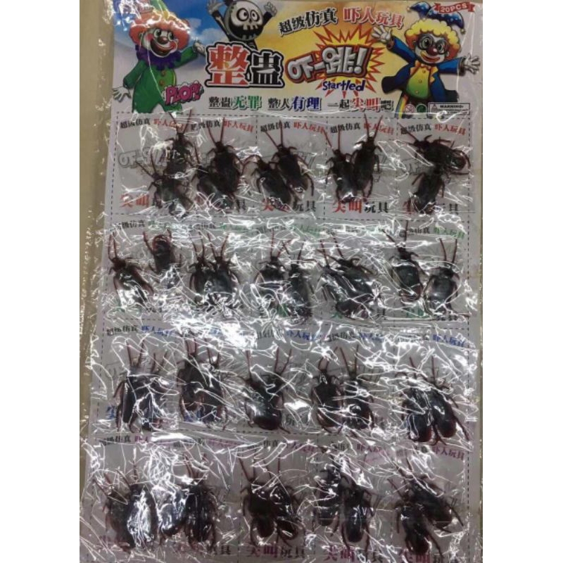 20 pack COCKROACH, IPIS TOY DOUBLE, 20 PIECES ALUPIHAN | Shopee Philippines