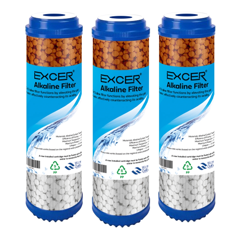 Alkaline Cartridge Filter 10 inches Replacement Filter | Shopee Philippines